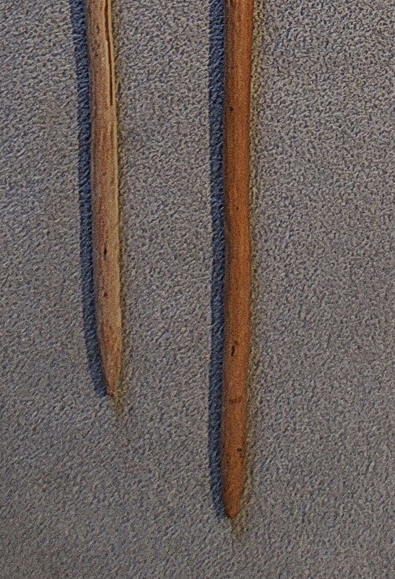 Chile | Early Fish Hooks Made of Shell, Copper and CatusThorn in ...