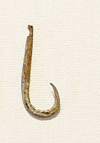 Chile | Early Fish Hooks Made of Shell, Copper and CatusThorn in ...