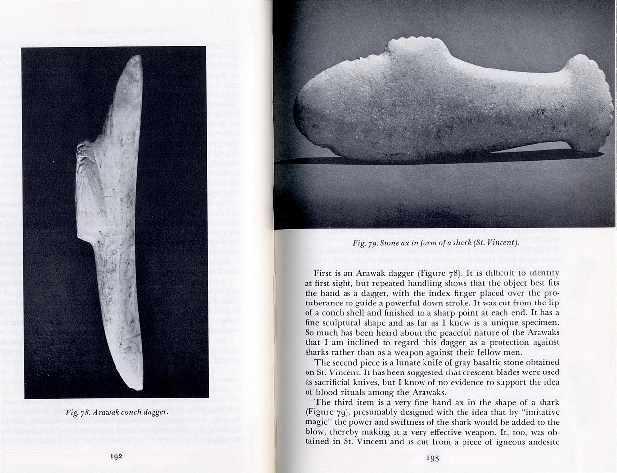 Dominican Republic | Taíno Carved Shell Amulet of a Figure with a Bat ...